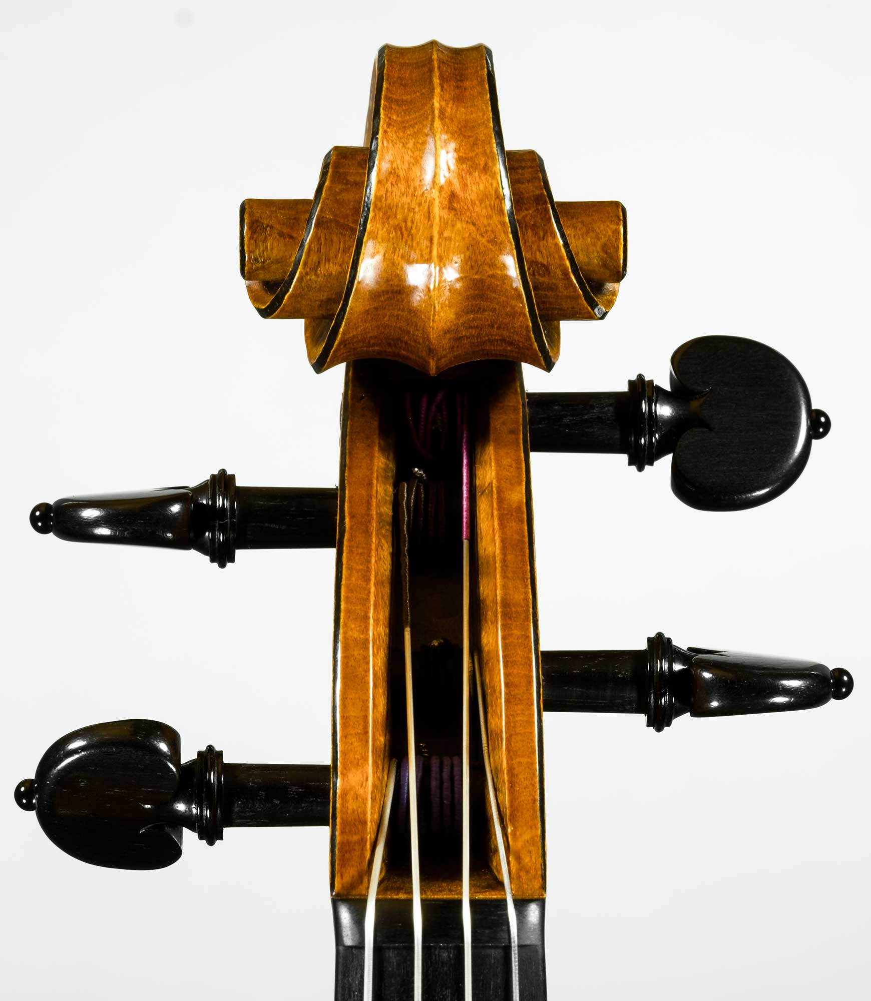 Viola Star Session Custom